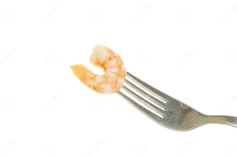 Prawn on fork stock image. Image of bite, peeled, snack - 11537725
