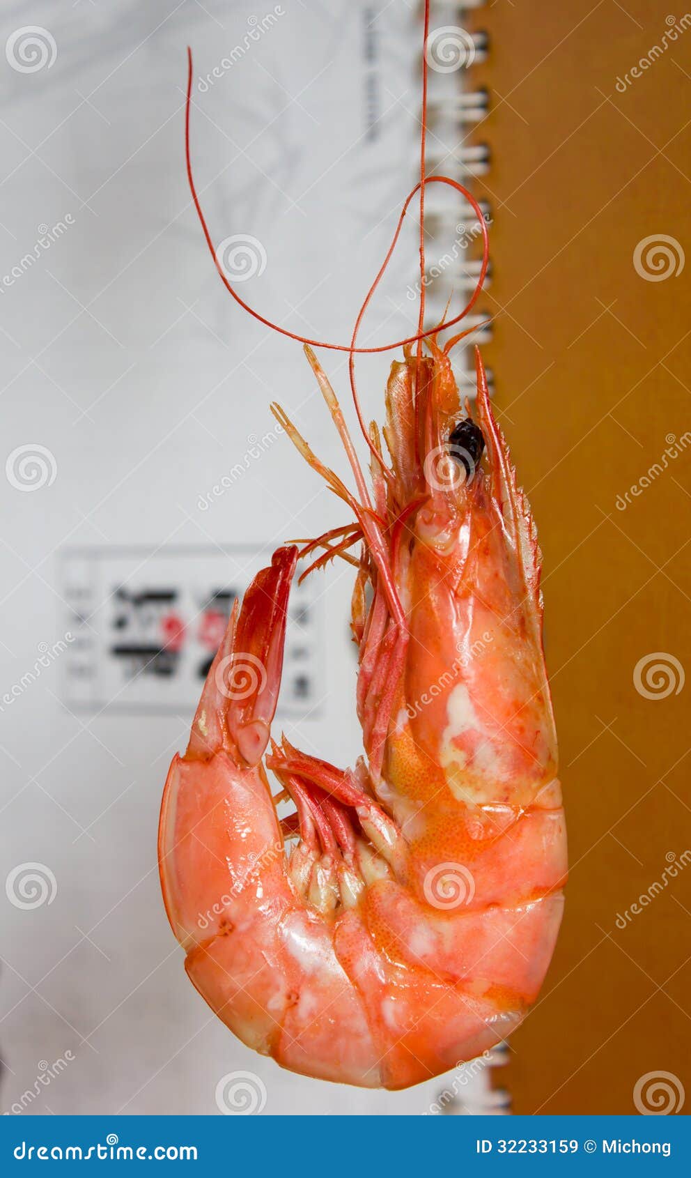 Prawn stock image. Image of party, eating, diet, calories - 32233159