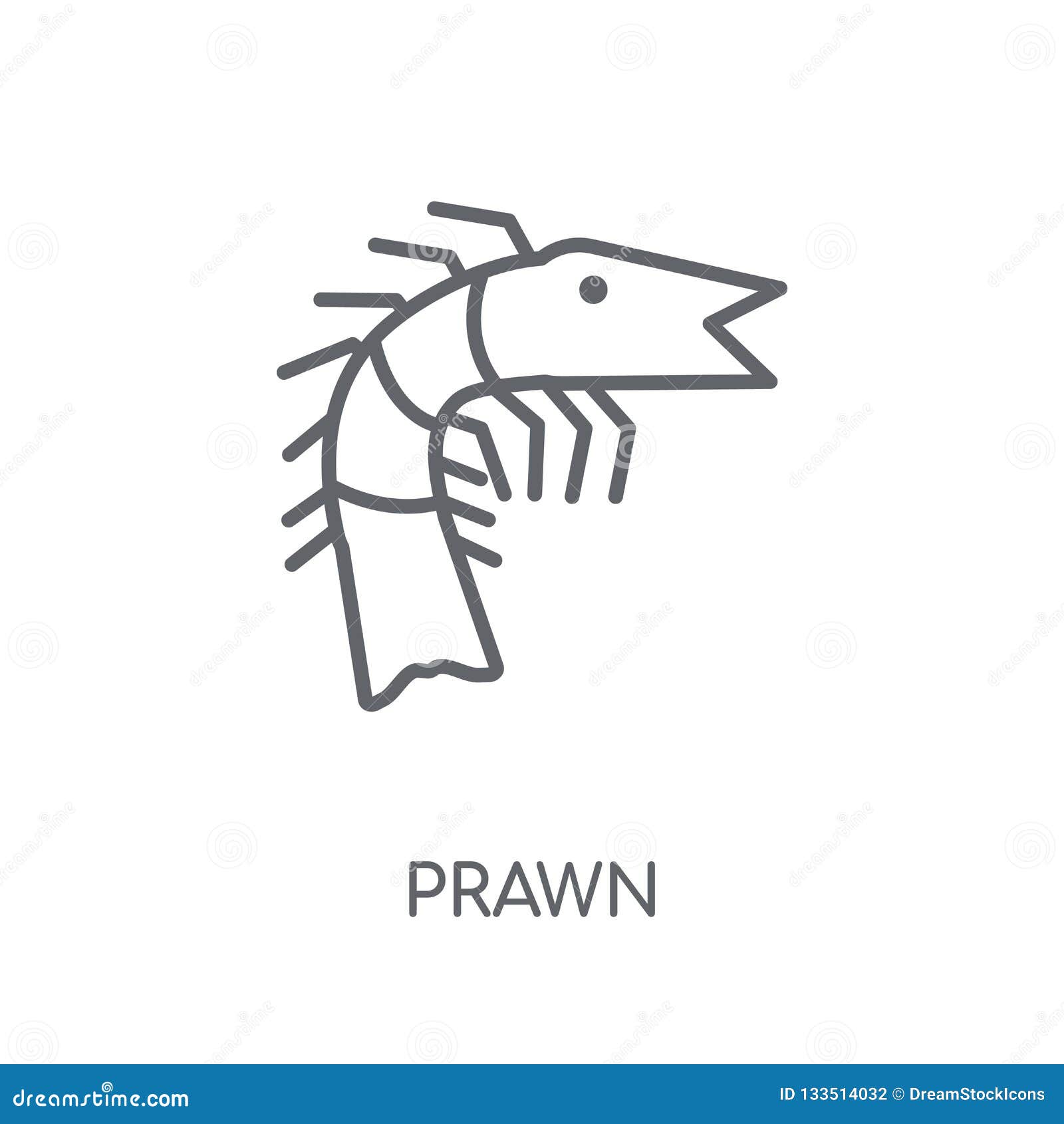 Prawn Linear Icon. Modern Outline Prawn Logo Concept on White Ba Stock ...