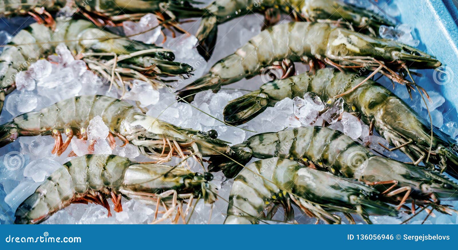 Prawn Newly Fished and Stored in Boxes with Ice. Stock Illustration ...