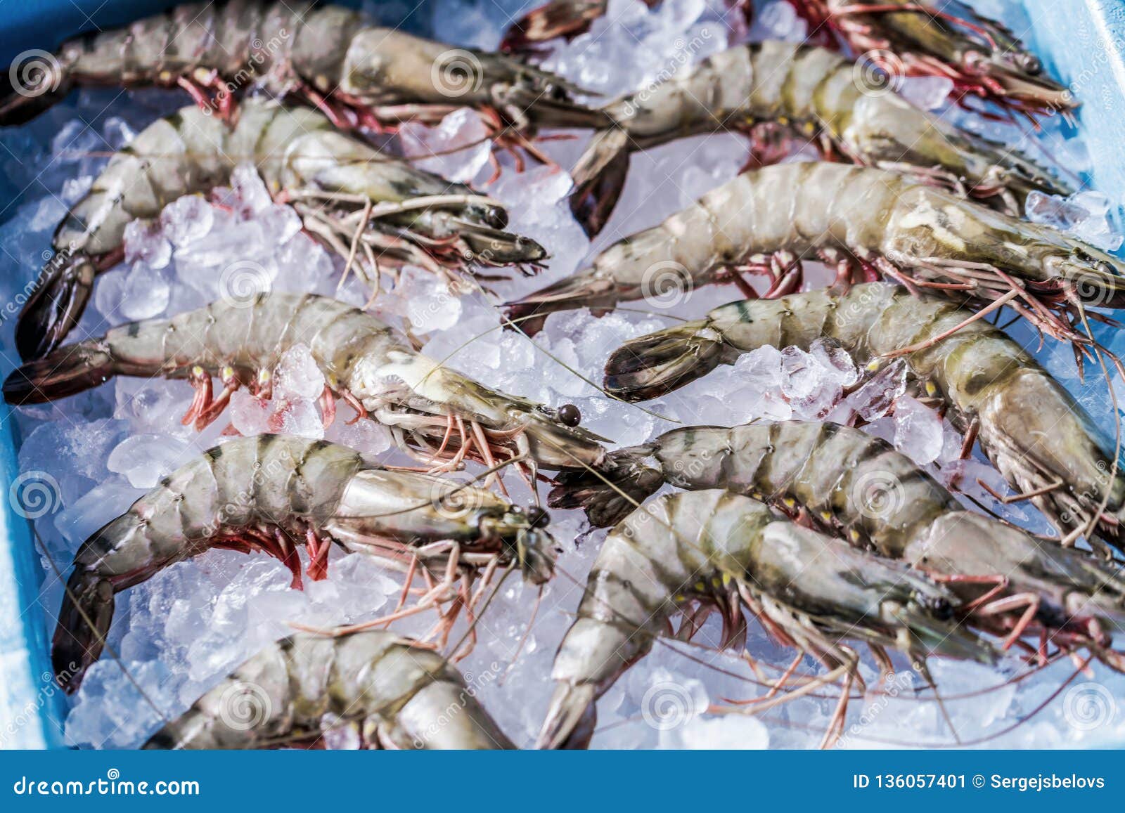 Prawn Newly Fished and Stored in Boxes with Ice. Stock Image - Image of ...
