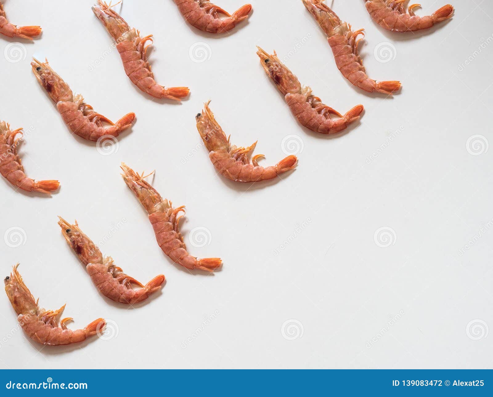 Prawn Pattern on White with Copy Space Stock Photo - Image of snack ...