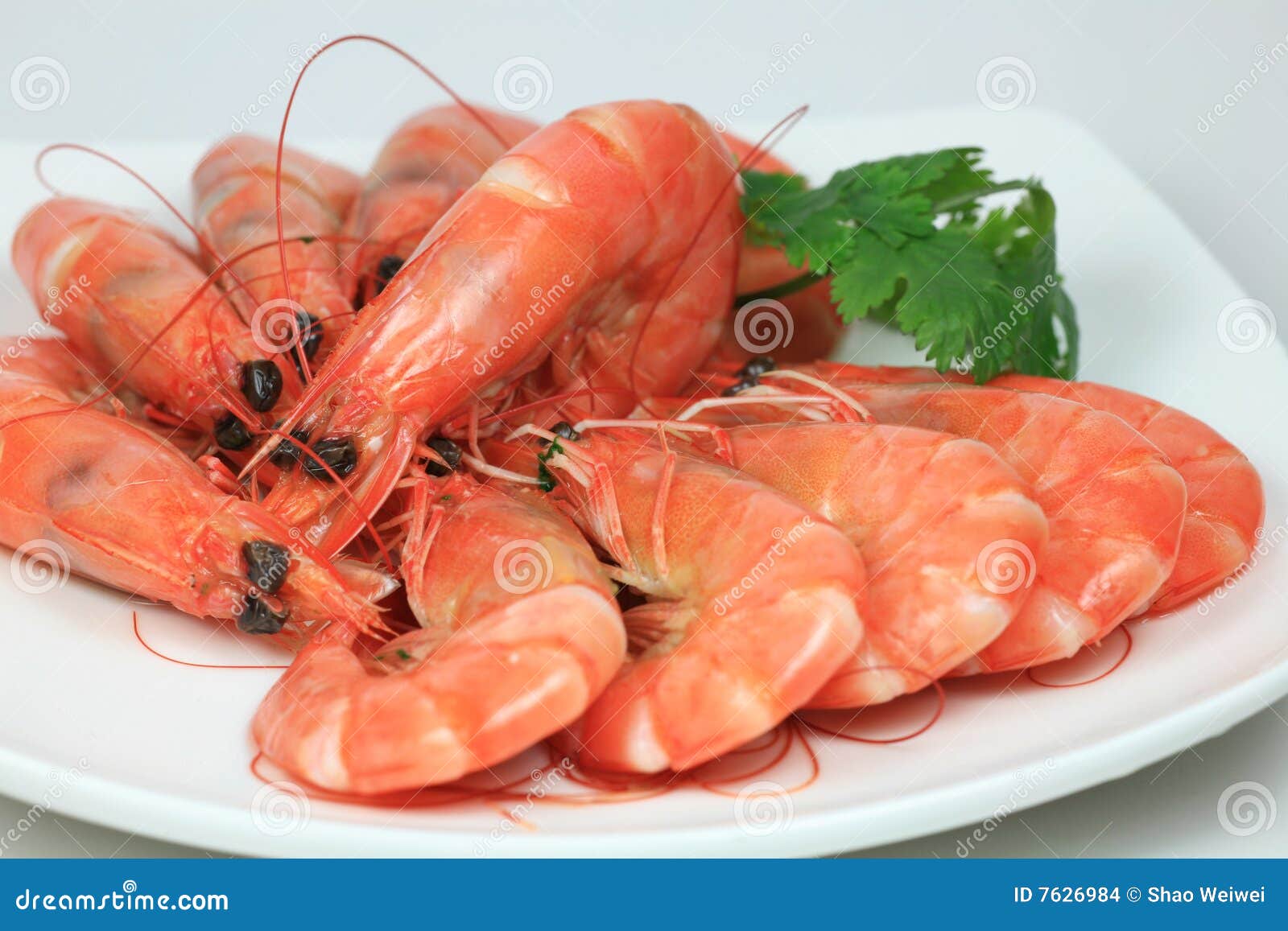 Prawn with Plate on White stock photo. Image of focus - 7626984