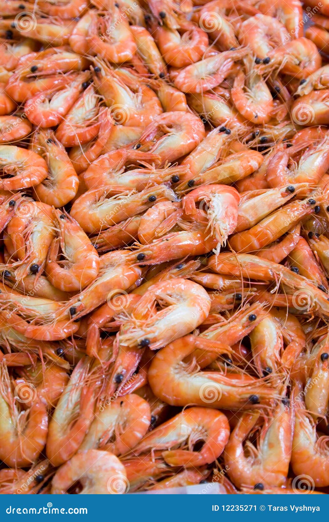 Prawn Raw Red stock image. Image of cooking, delicatessen - 12235271