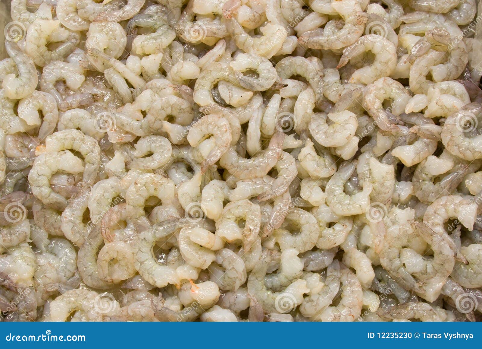 Prawn Raw White stock photo. Image of cooking, backgrounds - 12235230