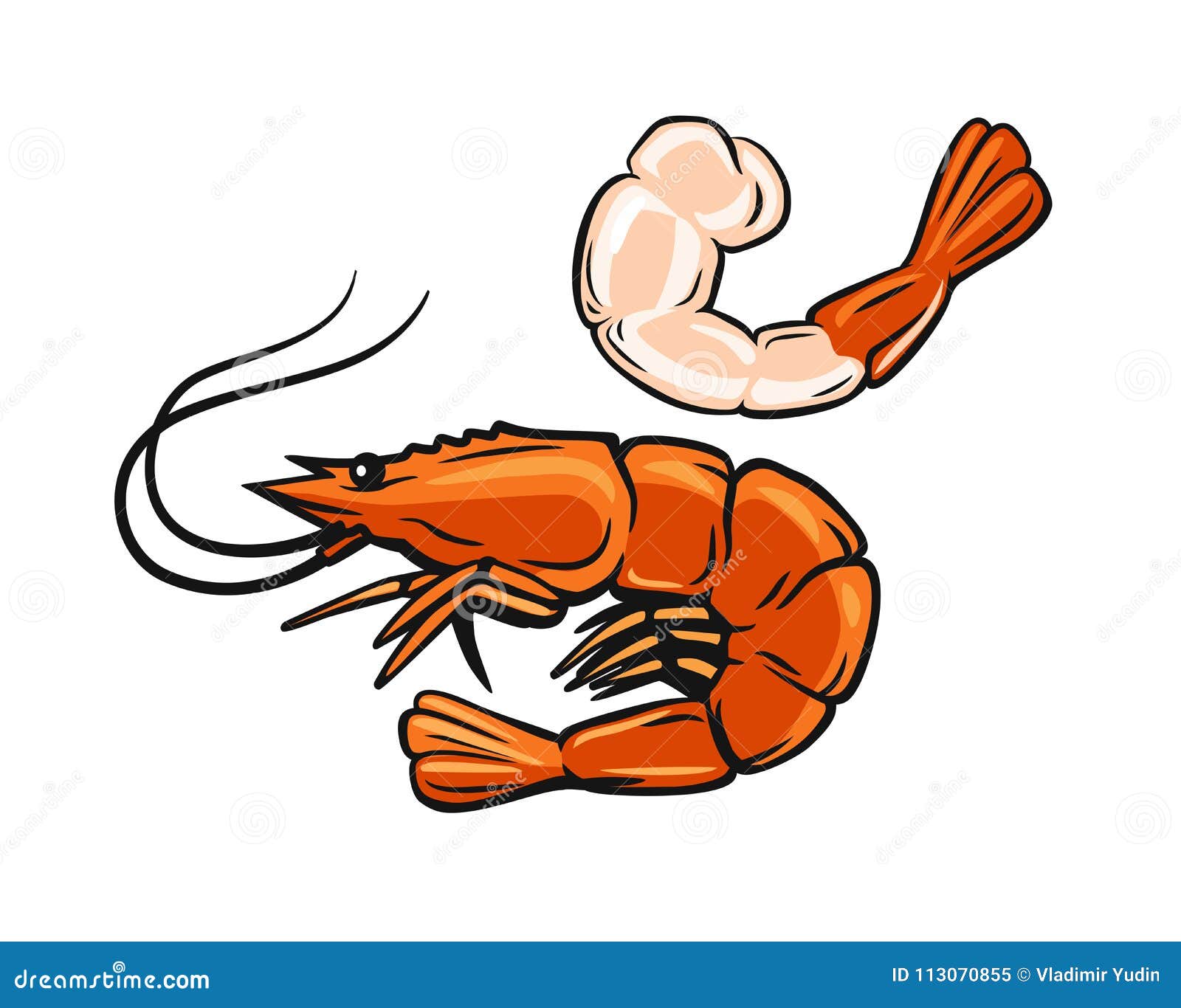 Prawn Cartoon Vector | CartoonDealer.com #16365463