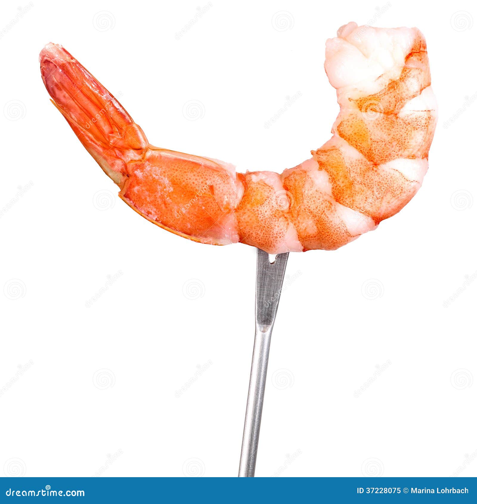 Prawn on spit stock image. Image of lunch, gourmet, fresh - 37228075