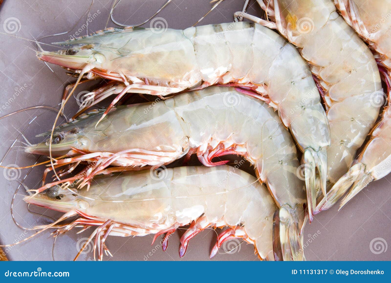 Prawns stock image. Image of freshness, succulent, food - 11131317
