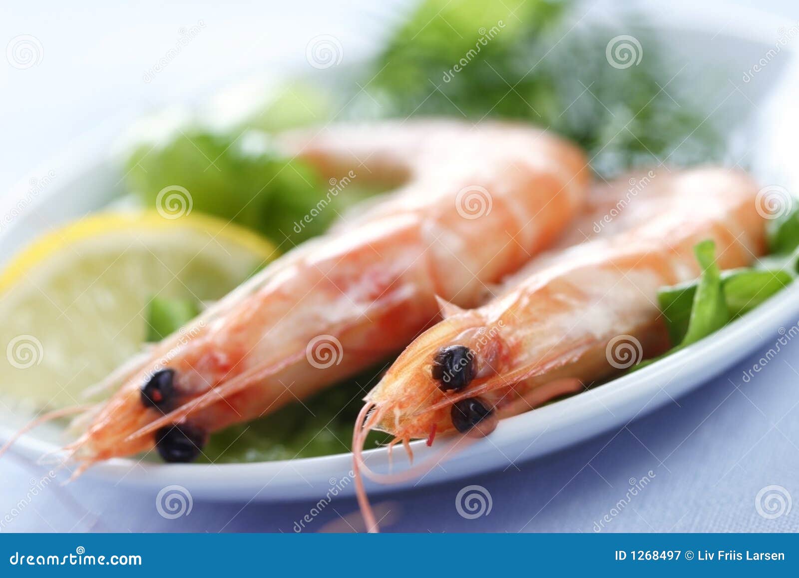 Prawns stock image. Image of light, lettuce, appetizer - 1268497