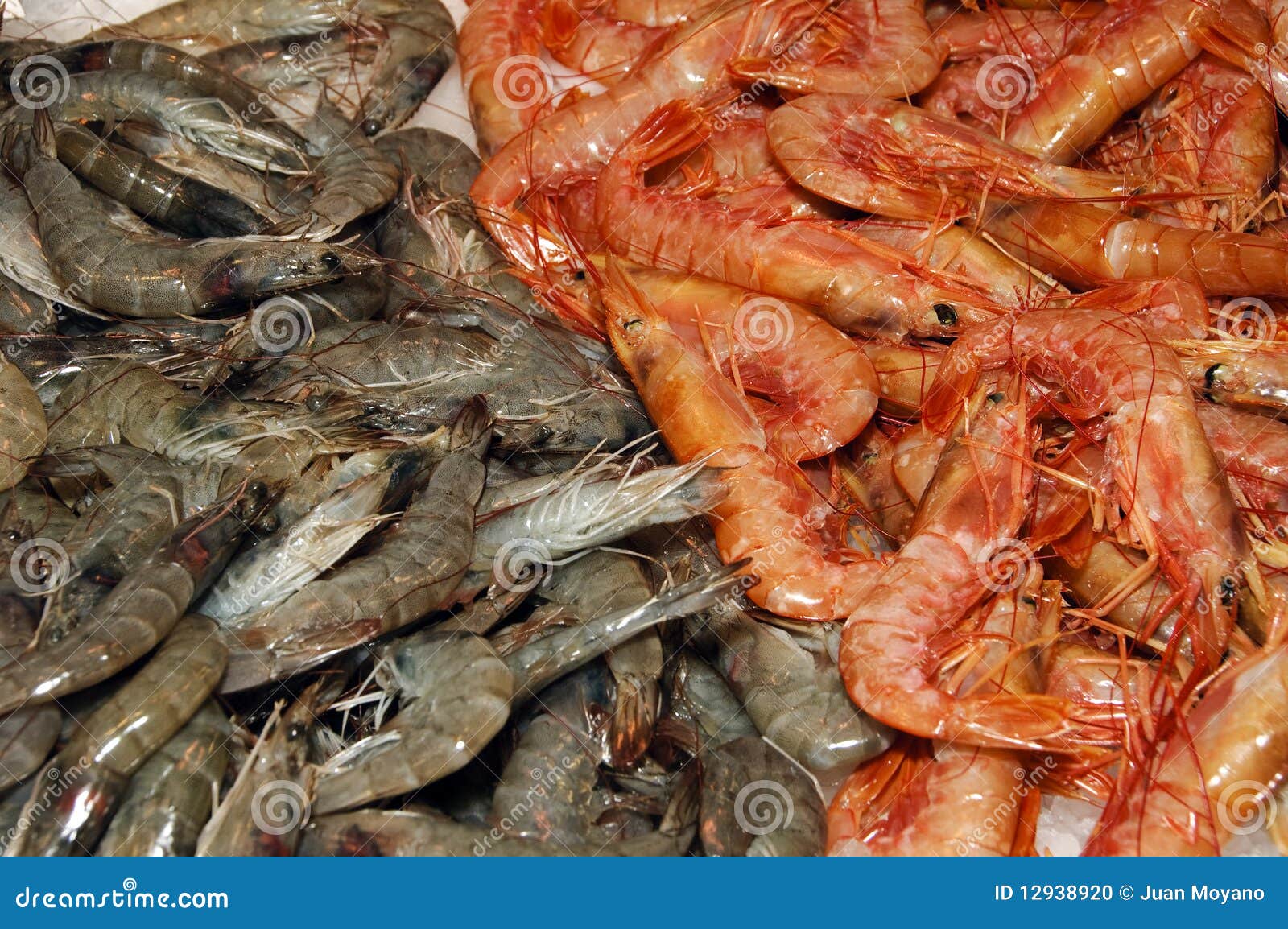 Prawns stock photo. Image of prawns, animal, health, mollusk - 12938920