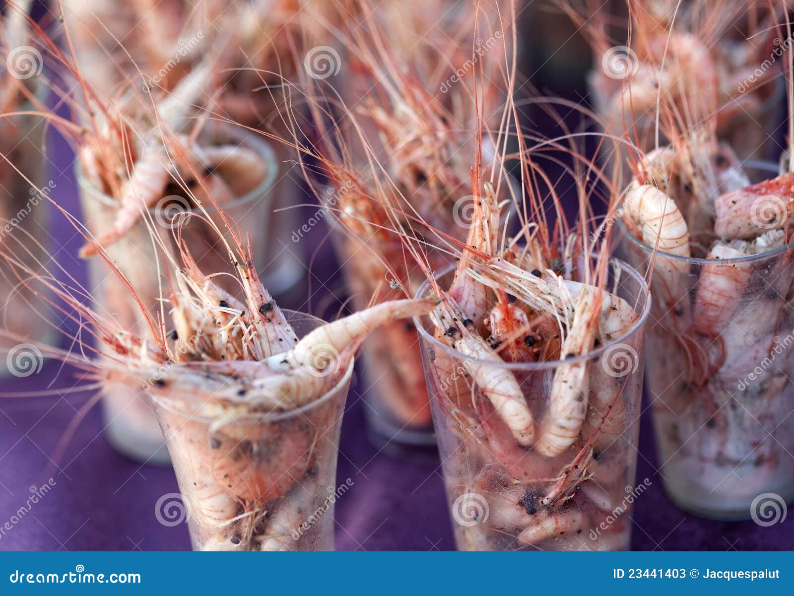 Prawns stock image. Image of shop, buffet, fish, lunch - 23441403