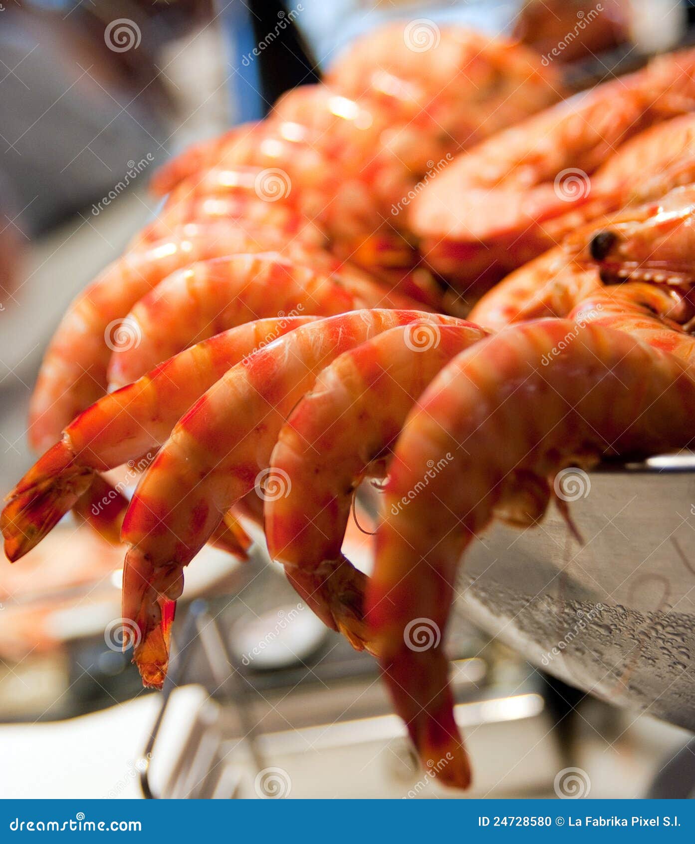 Prawns stock photo. Image of healthy, cold, nutrition - 24728580