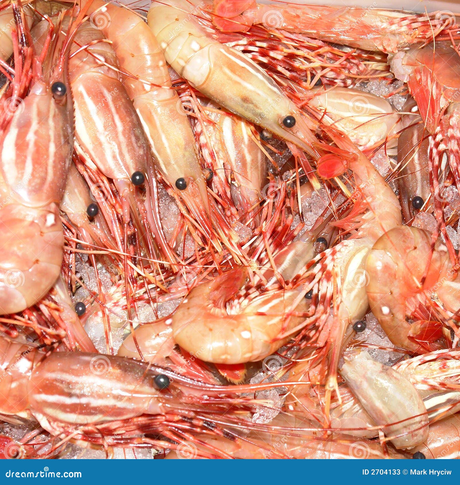 Prawns stock image. Image of jumbo, cold, fish, prawns - 2704133