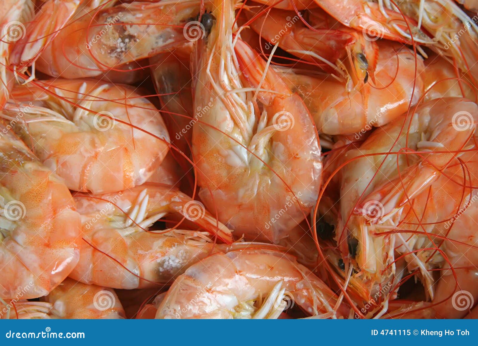 Prawns stock image. Image of cuisine, appetizer, shrimps - 4741115
