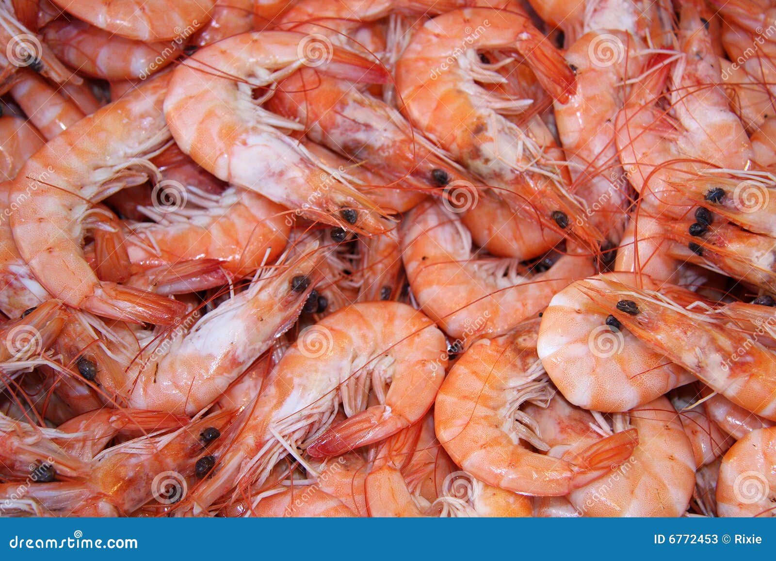 Prawns stock image. Image of seafood, flavor, fresh, flavour - 6772453
