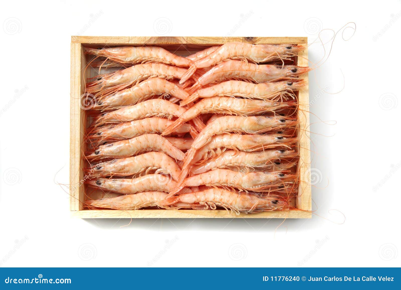 Prawns in a box stock photo. Image of shrimp, food, crustacean - 11776240