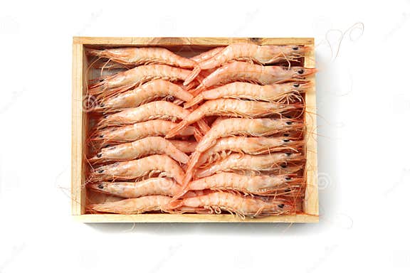 Prawns in a box stock photo. Image of shrimp, food, crustacean - 11776240
