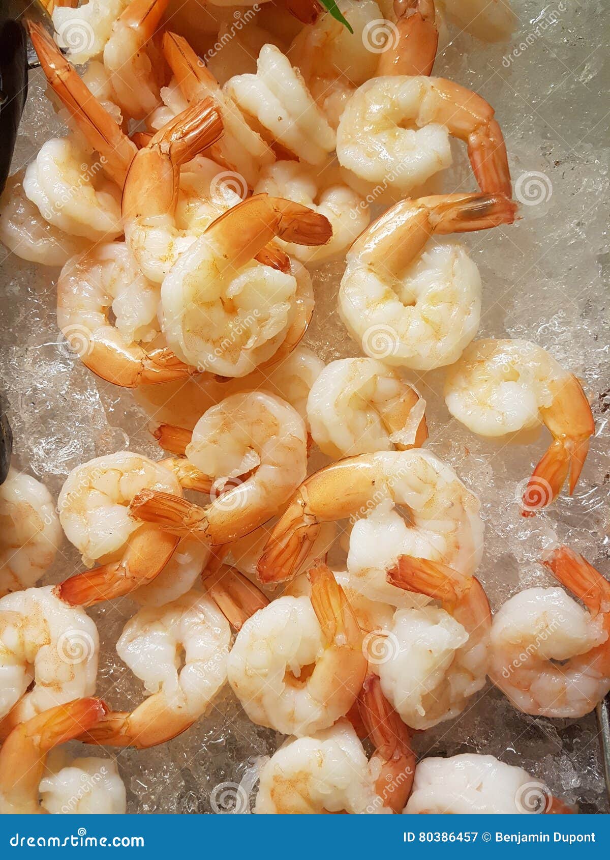 Prawns buffet stock image. Image of cold, allyoucaneat - 80386457