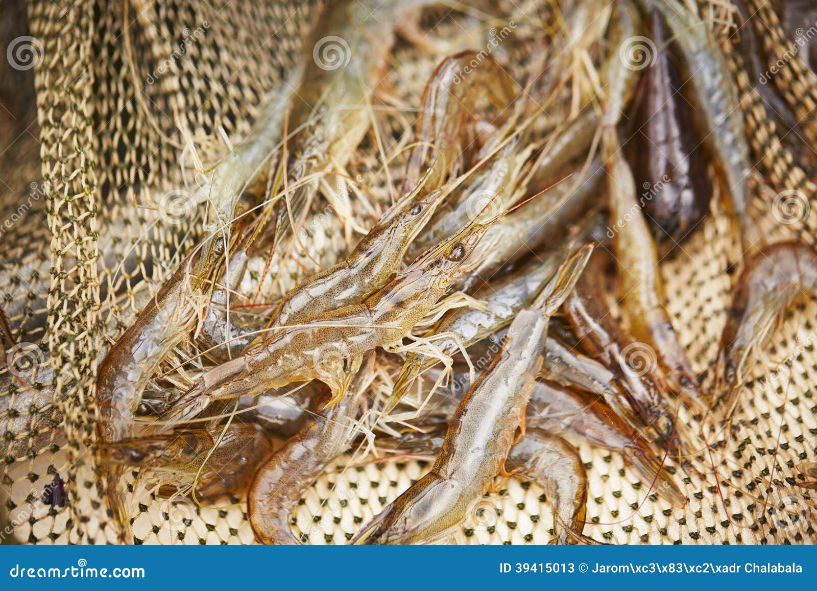 Prawns stock image. Image of market, ingredient, cooking - 39415013