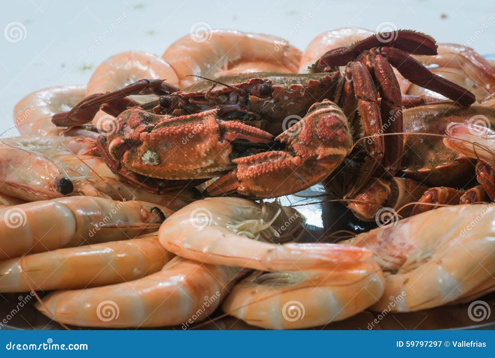 Prawns and crabs stock image. Image of cuisine, fish - 59797297