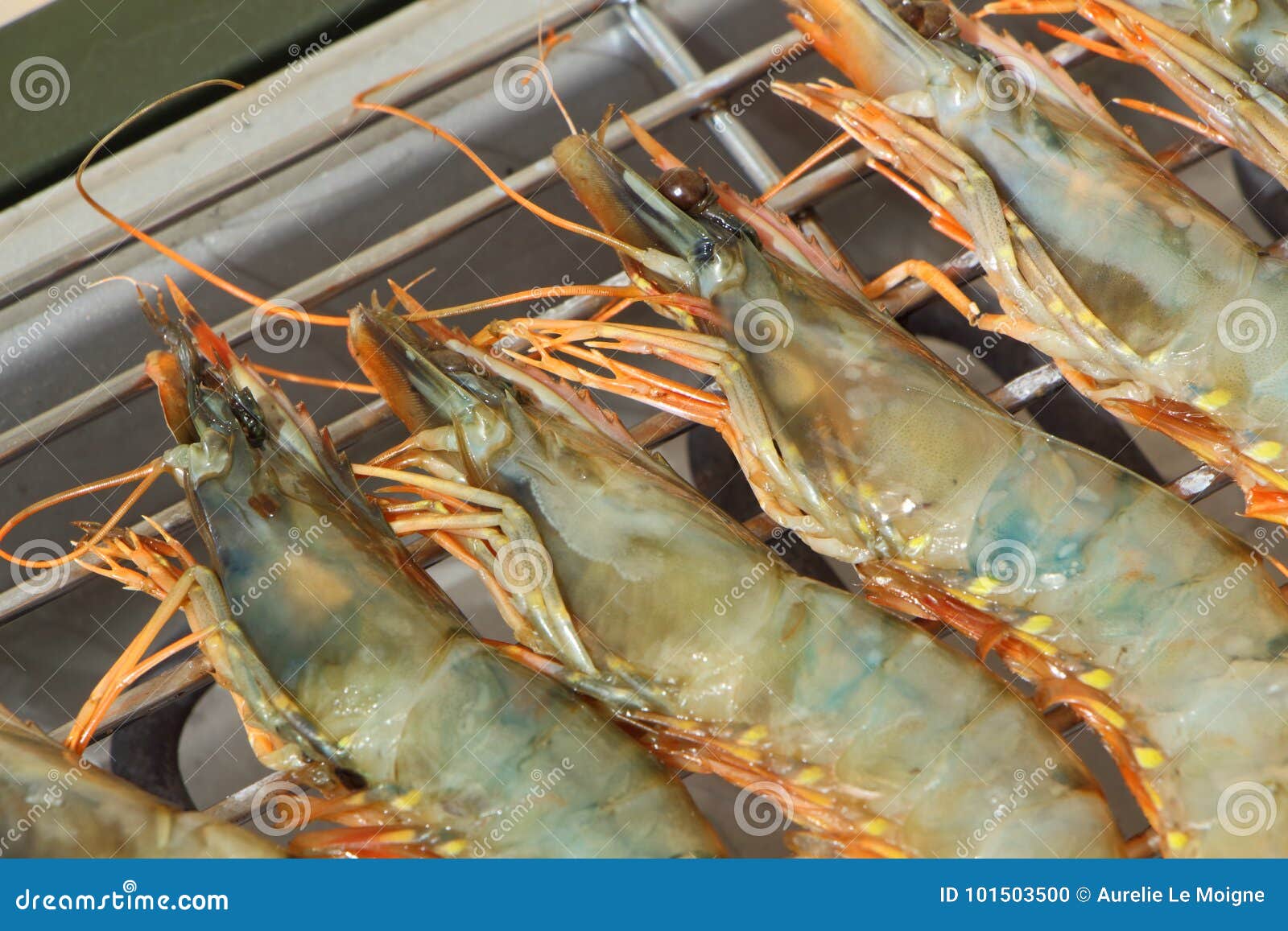 Prawns on Electric Barbecue Stock Photo - Image of grill, fresh: 101503500
