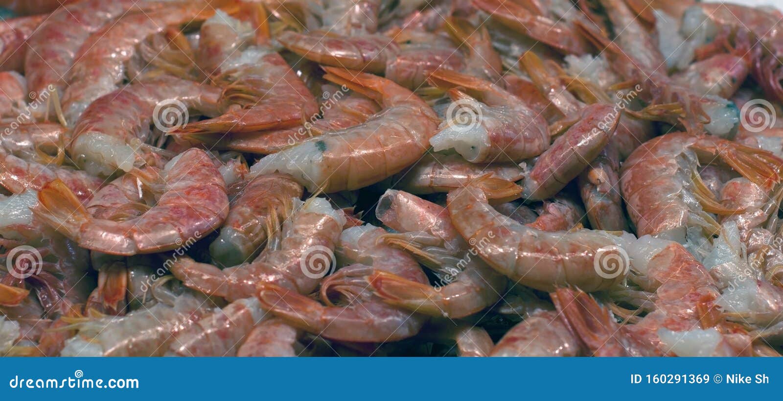 Prawns stock image. Image of seafood, shrimp, sale, aqua - 160291369