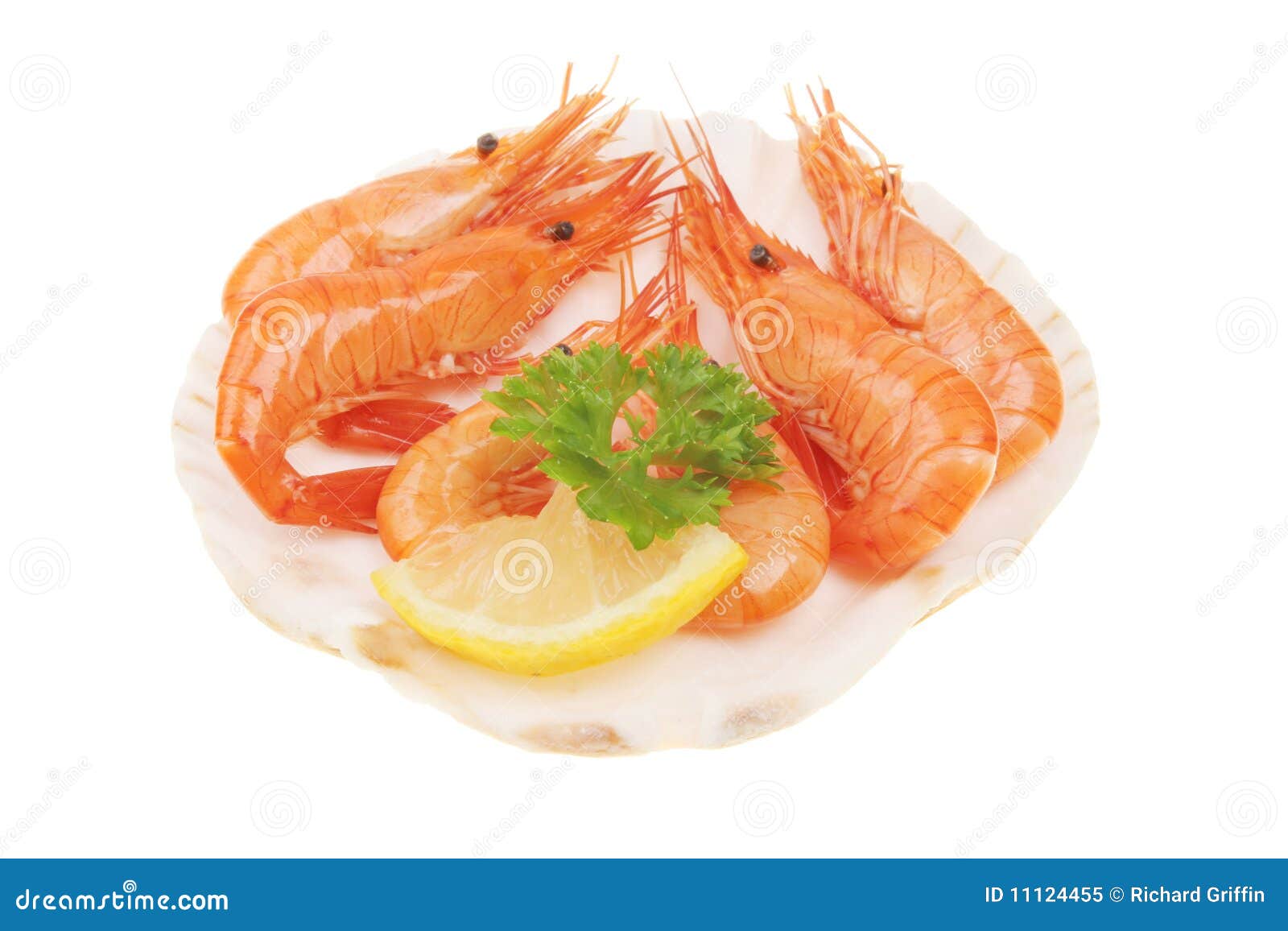 Prawns with Garnish in Shell Stock Image - Image of herb, seafood: 11124455