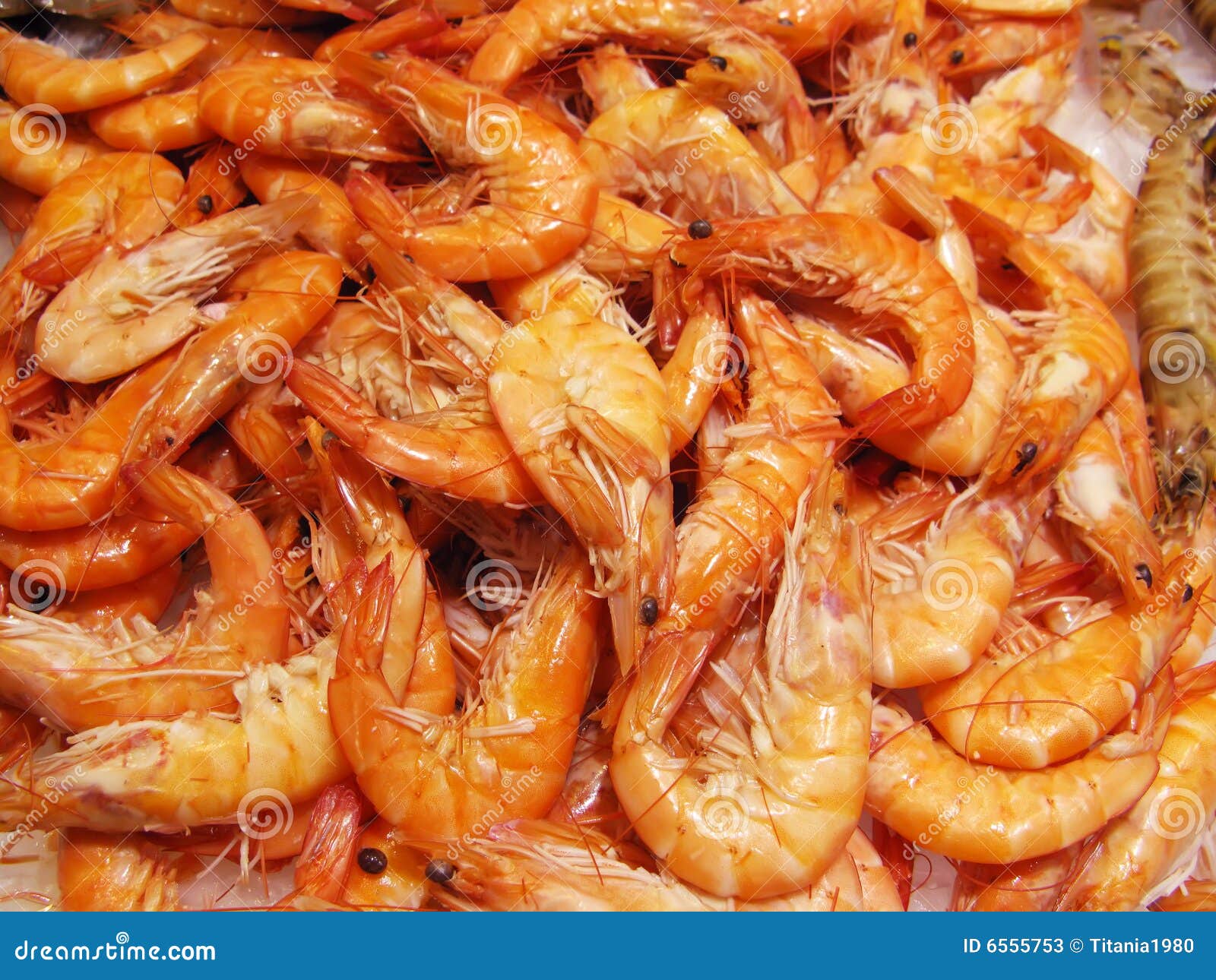 Prawns at the market stock image. Image of nutrition, seafood - 6555753