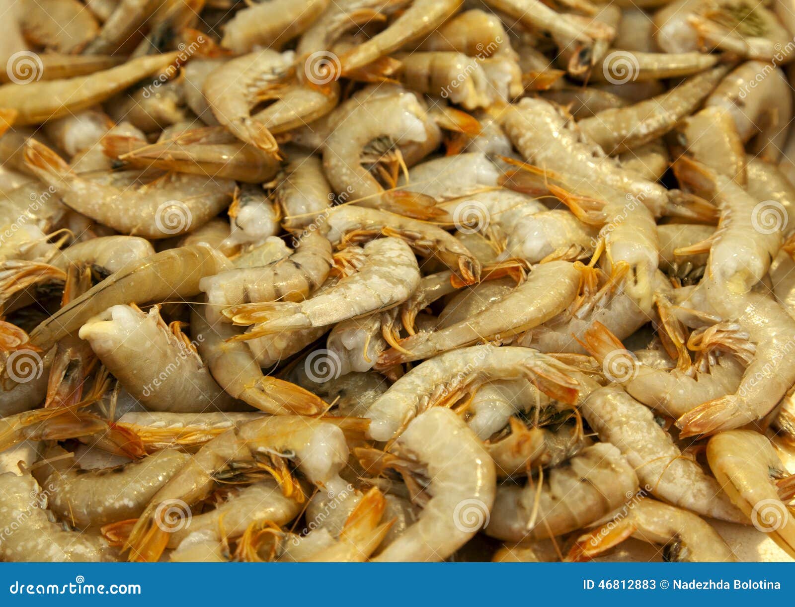 Prawns in a market stock image. Image of shrimps, crustacean - 46812883