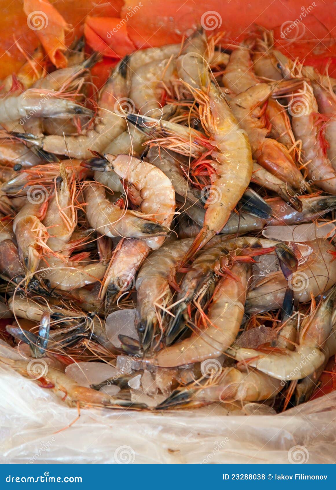 Prawns on market counter stock photo. Image of seafood - 23288038