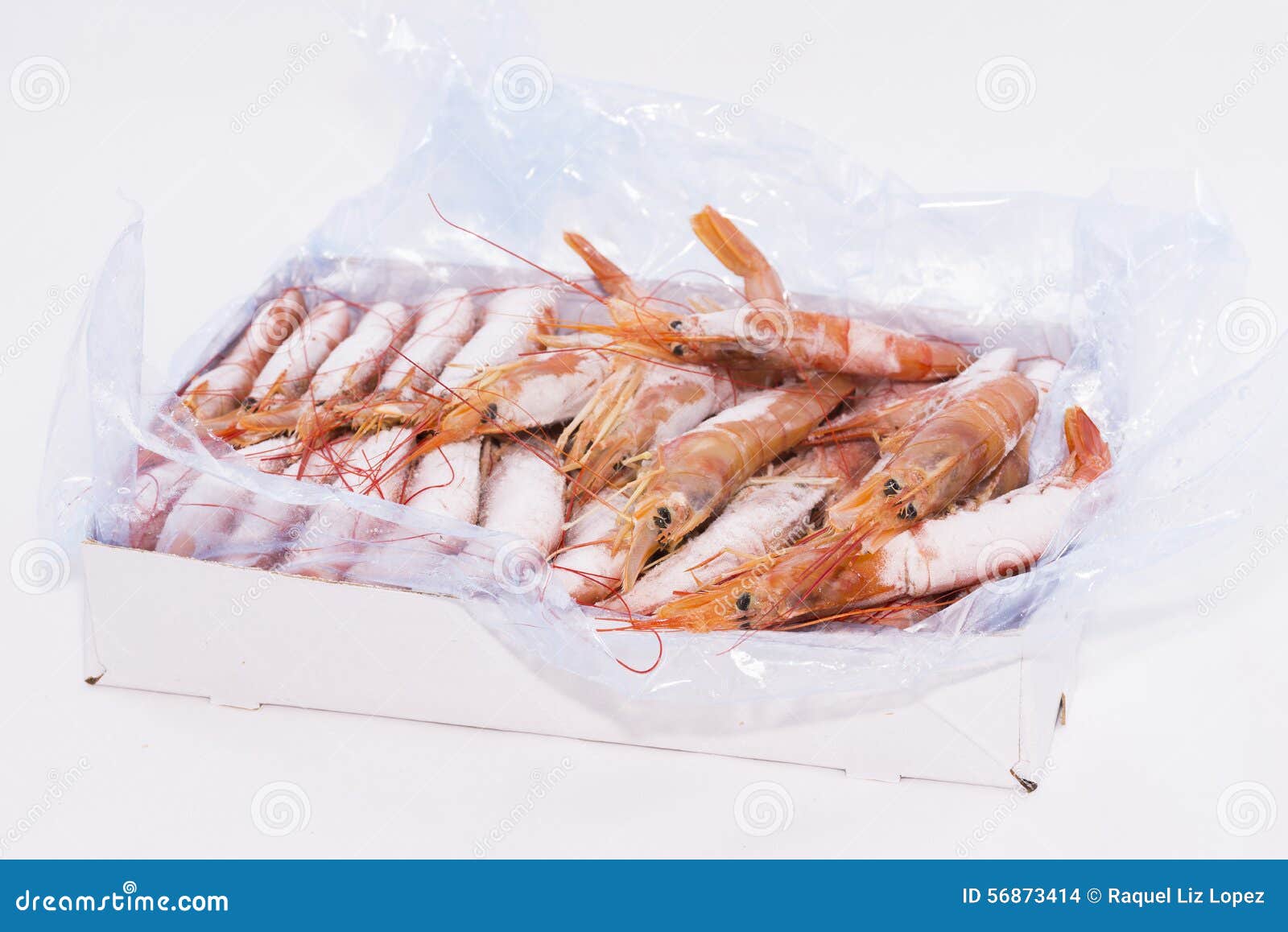 Prawns. stock photo. Image of delicacy, shellfish, tasty - 56873414