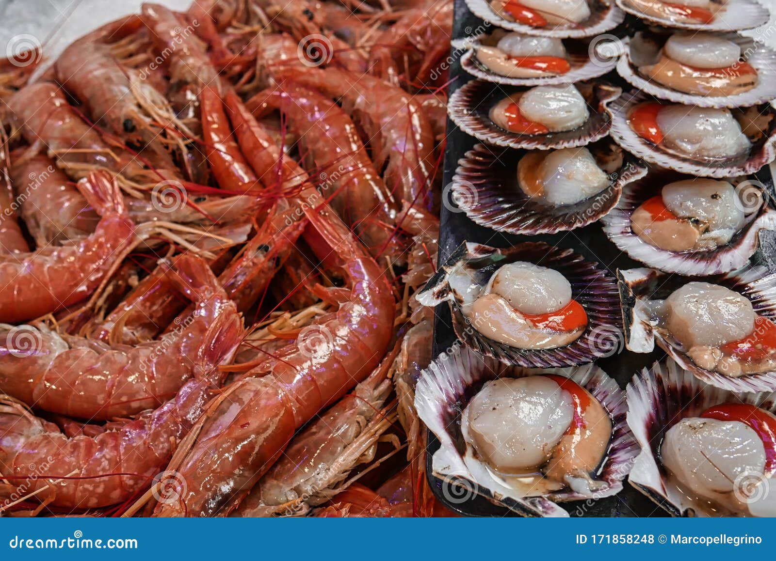 Prawns and Oyster in Fish Market Table Stock Photo - Image of gourmet ...
