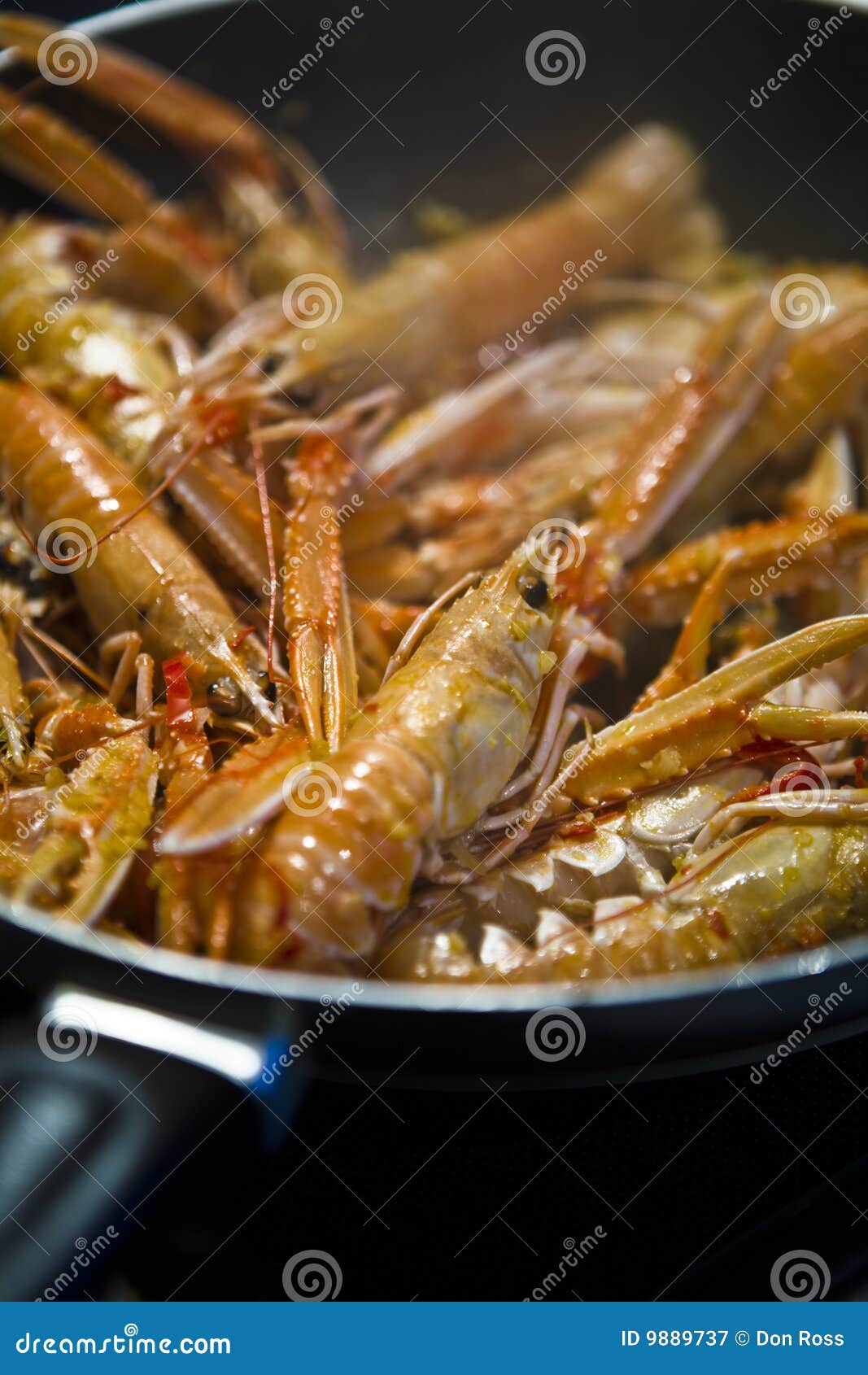 Prawns in pot stock image. Image of specialty, edible - 9889737