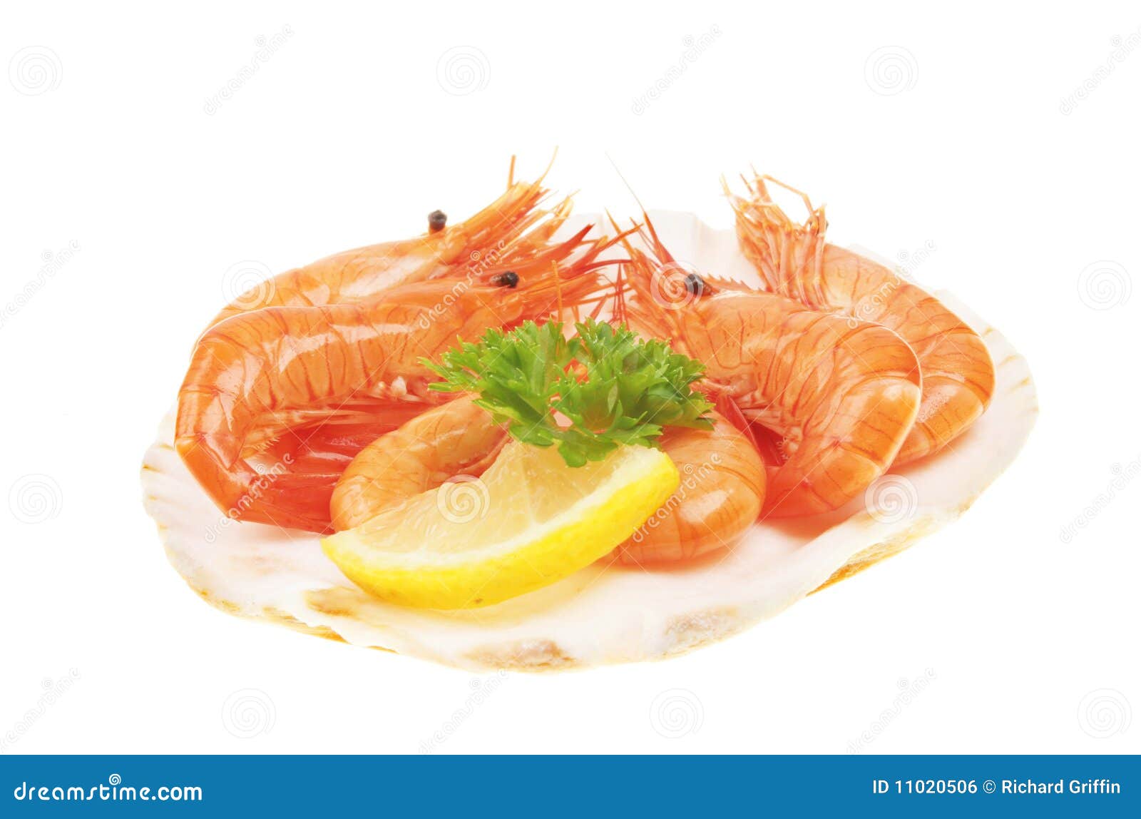 Prawns in shell stock photo. Image of seafood, isolated - 11020506