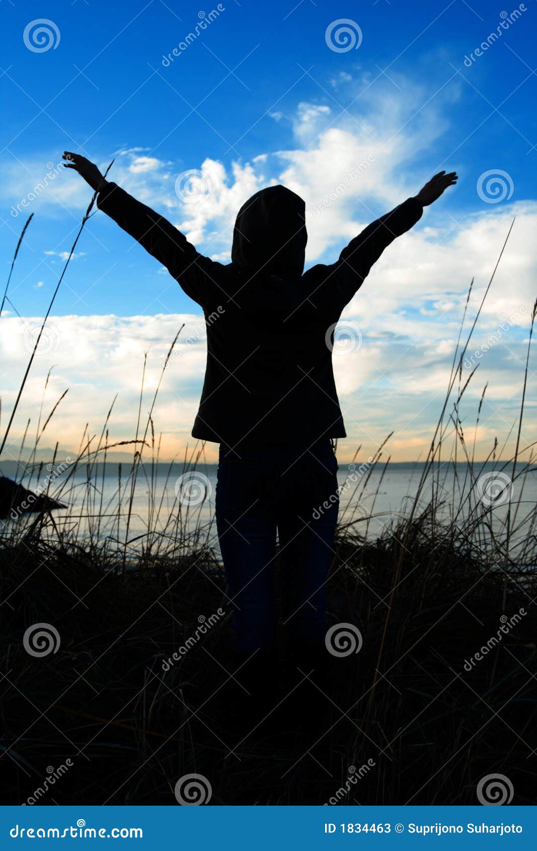 Pray stock image. Image of believer, achievement, happy - 1834463
