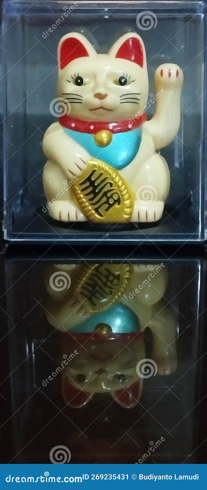 Pray, Hope, Blessing, Cat stock image. Image of lucky - 269235431