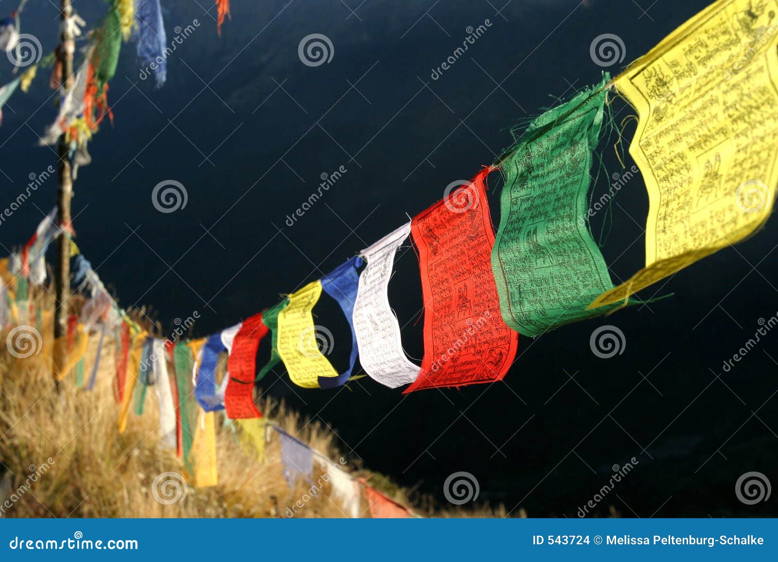 Prayer flags stock photo. Image of spirit, green, rows - 543724