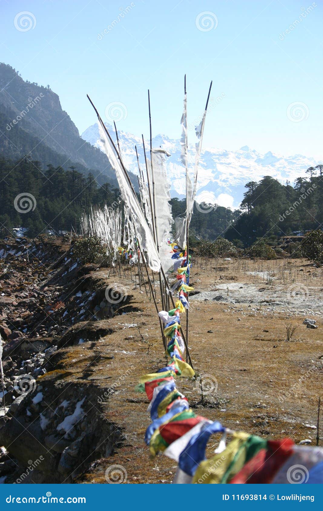Prayer Flags Along a River, Northeast India Stock Photo - Image of ...
