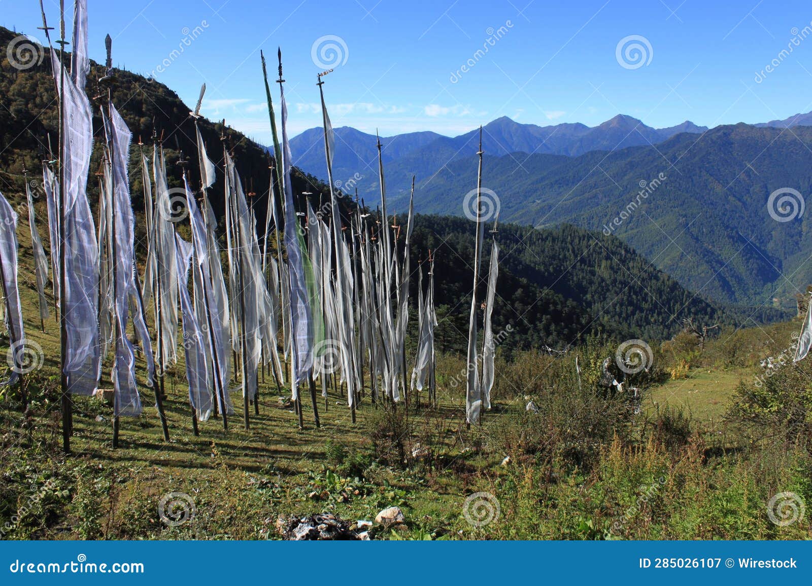 Prayer Flags at Chelela Pass. Bhutan Stock Image - Image of hike, peak ...
