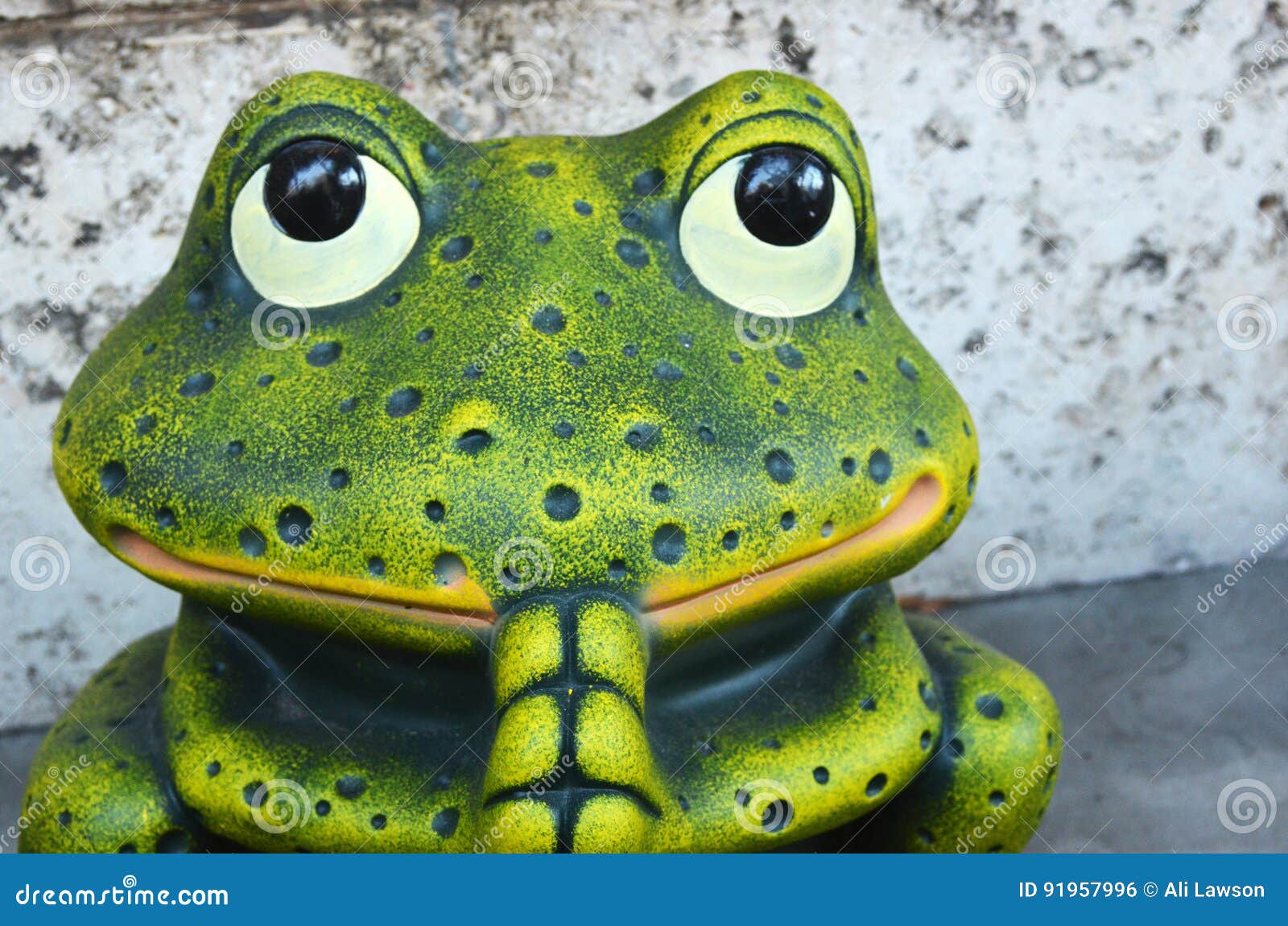Prayer Frog stock photo. Image of green, prayer, colorful - 91957996