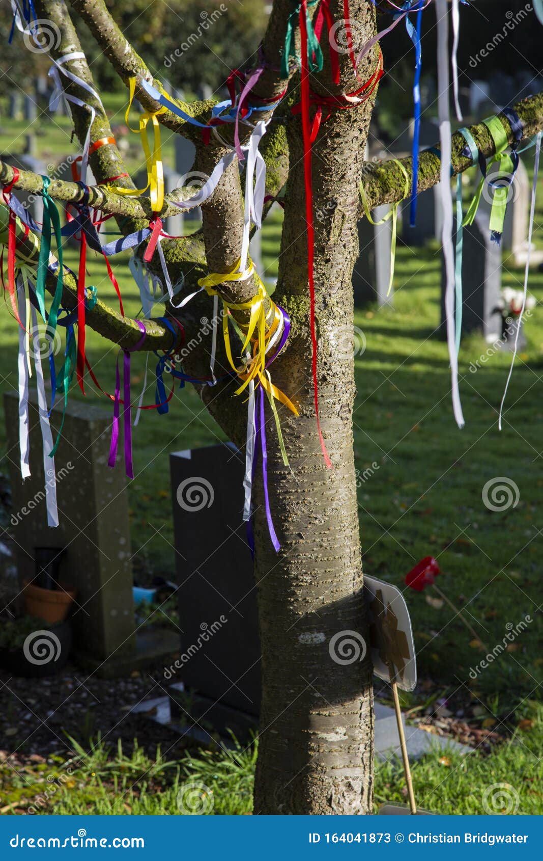 Prayer Ribbons on a Tree in a Graveyard Cemetery Stock Image - Image of ...