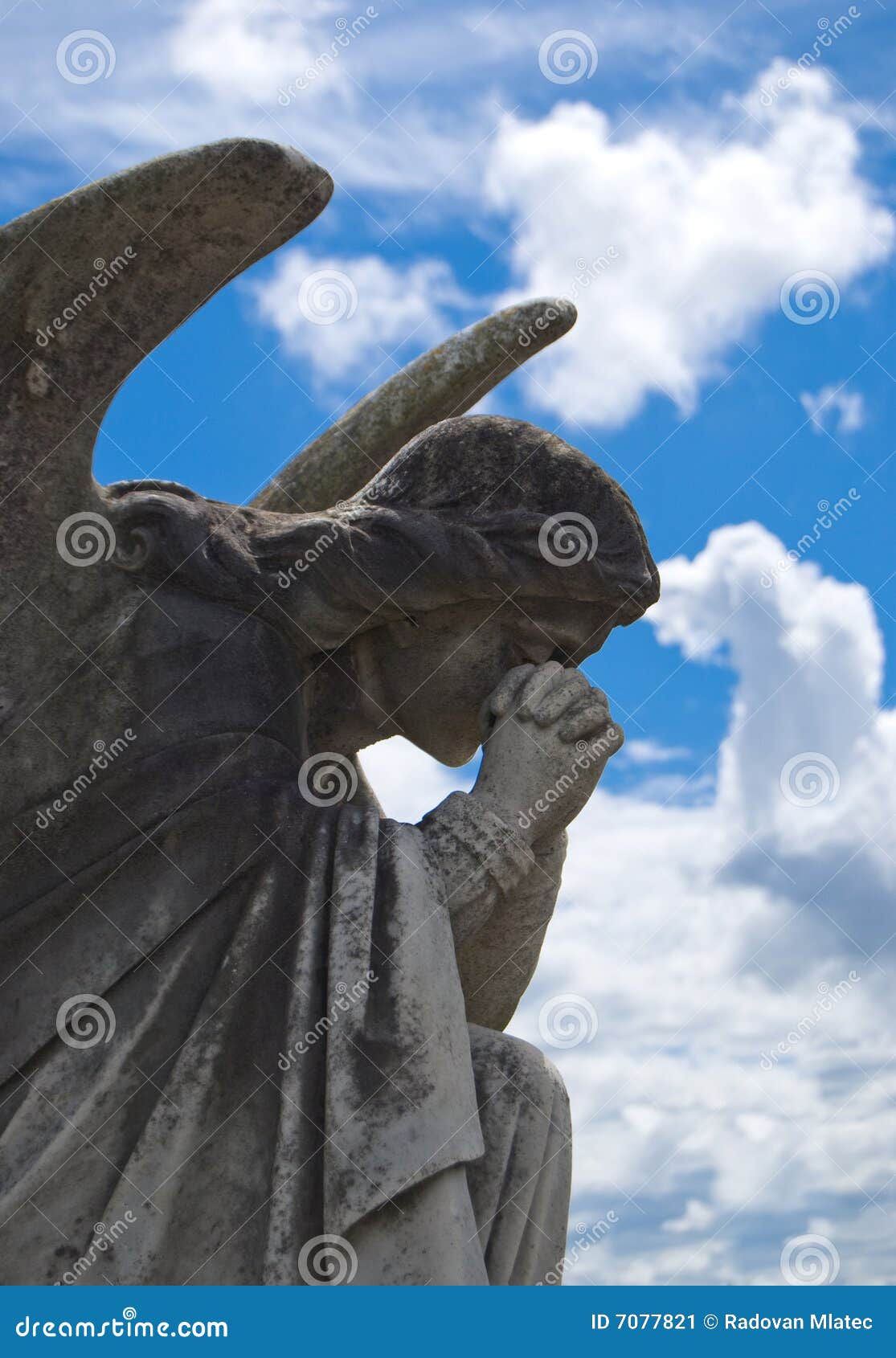 Praying Angel Royalty-Free Stock Image | CartoonDealer.com #42702628