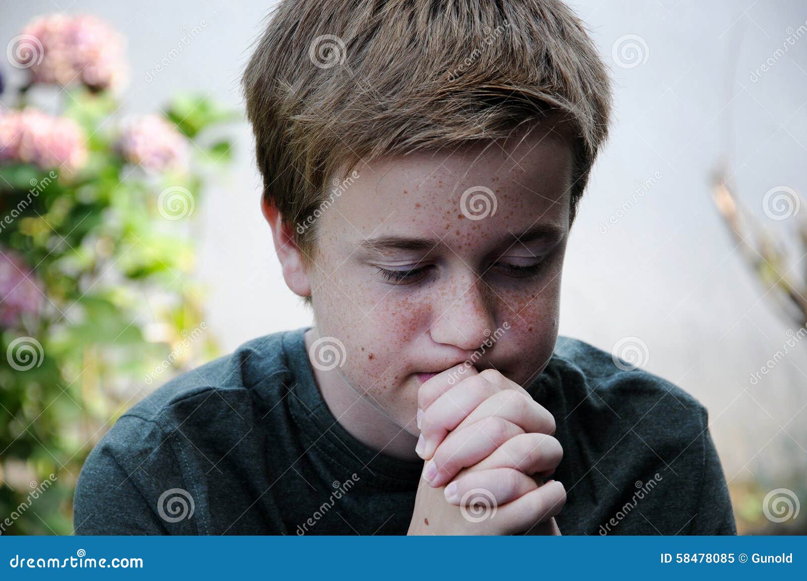 Praying boy stock image. Image of jesus, church, christian - 58478085