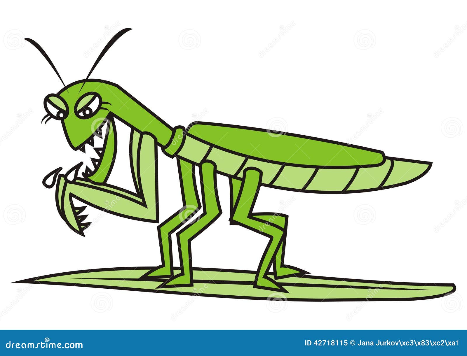 Praying Mantis, Vector Illustration, Sketch Stock Vector - Illustration ...