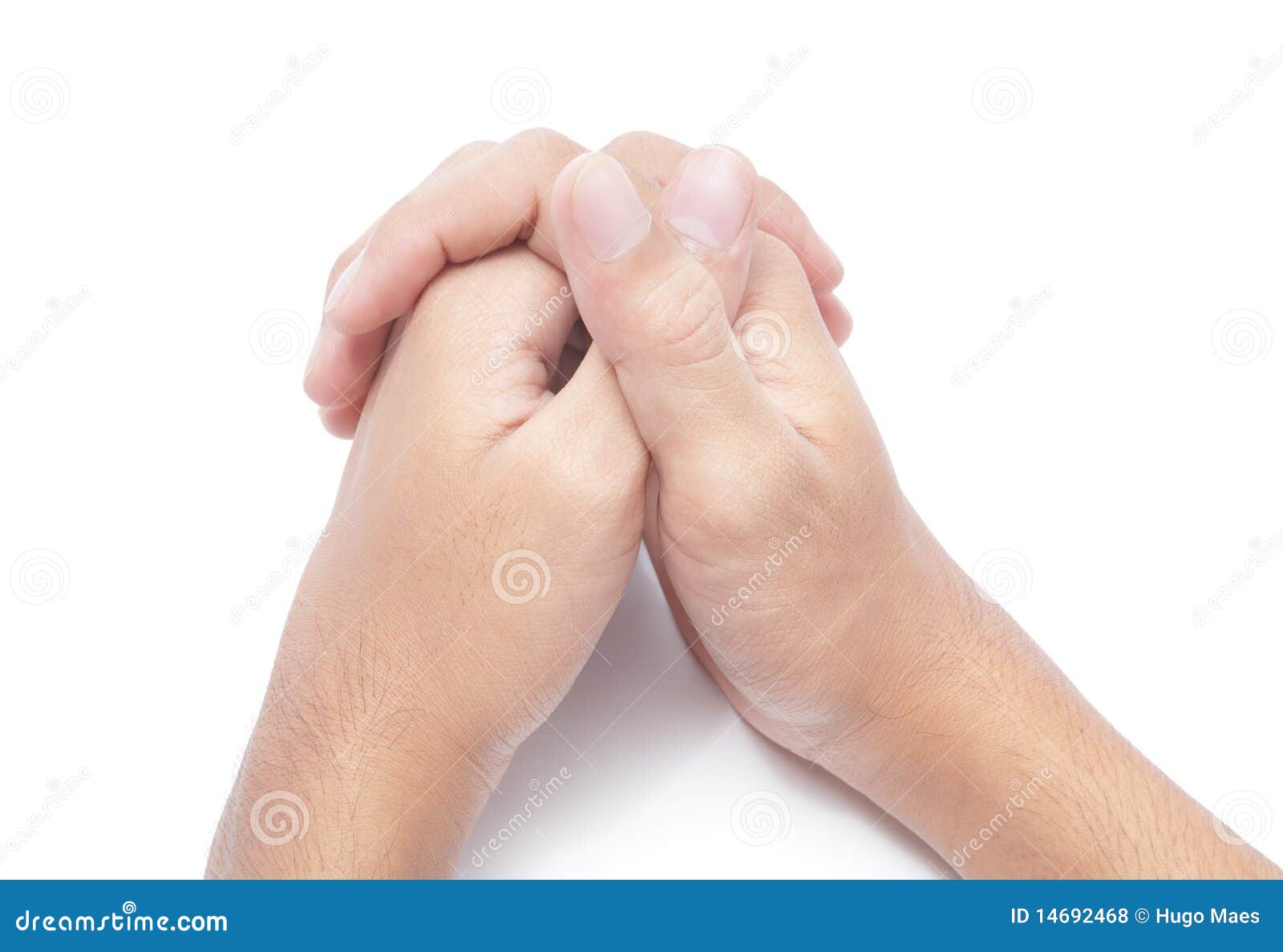 Praying hands stock photo. Image of manly, respectful - 14692468