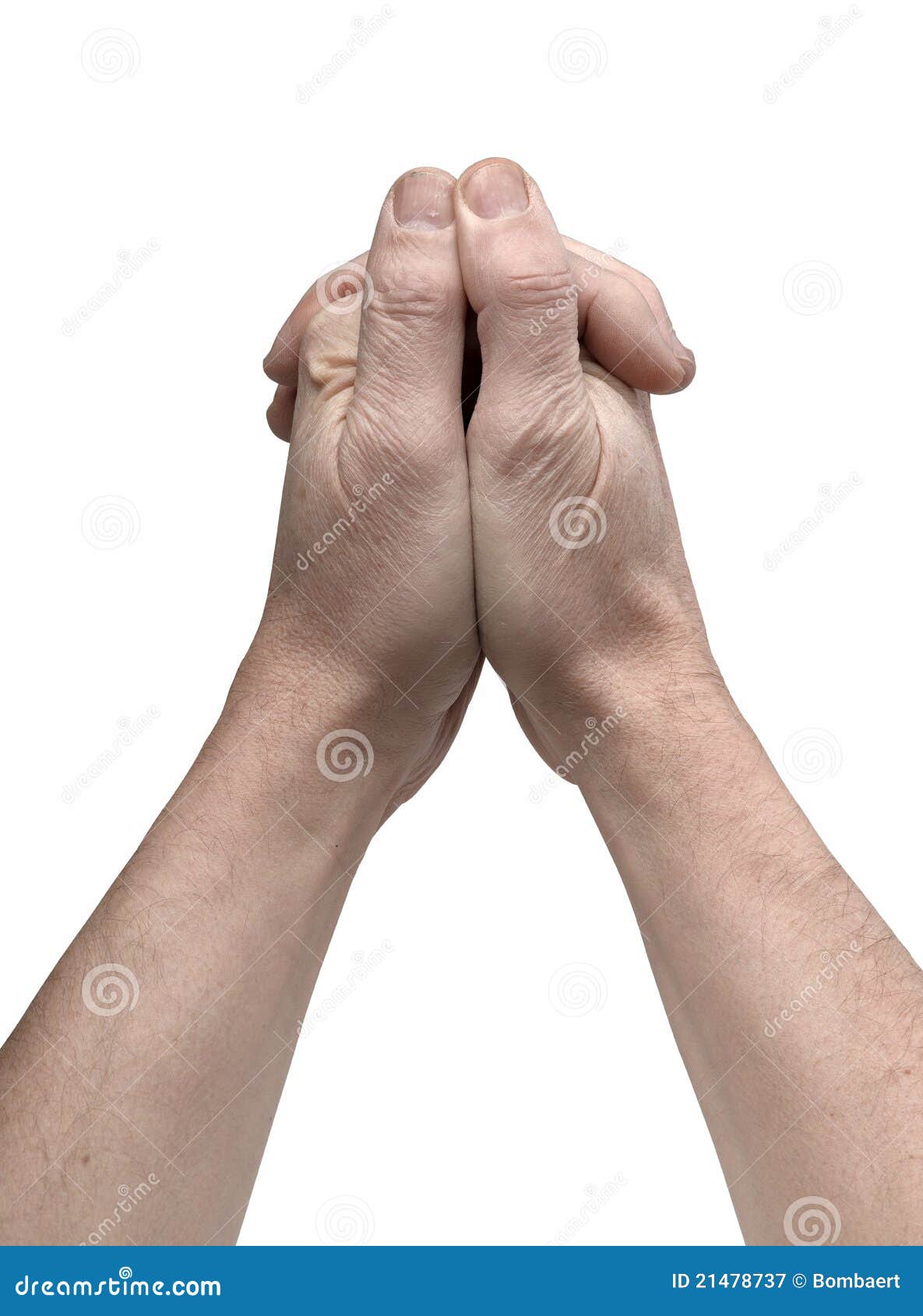 Praying hands stock image. Image of fingers, sample, company - 21478737
