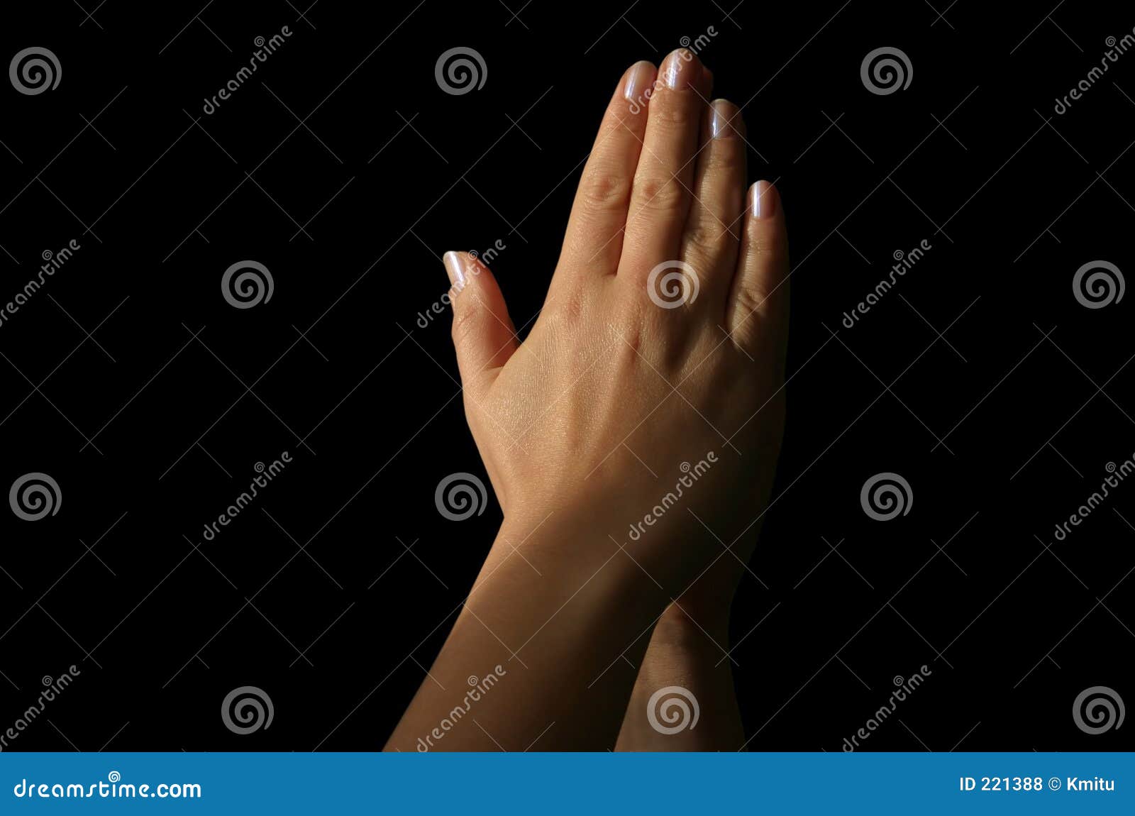 Praying hands stock photo. Image of clasped, holy, body - 221388