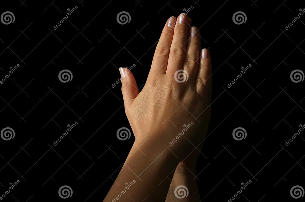 Praying hands stock photo. Image of clasped, holy, body - 221388