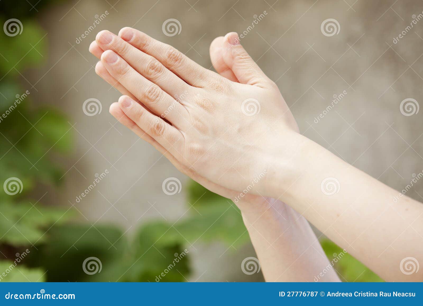 Praying hands stock image. Image of pray, hand, meditation - 27776787