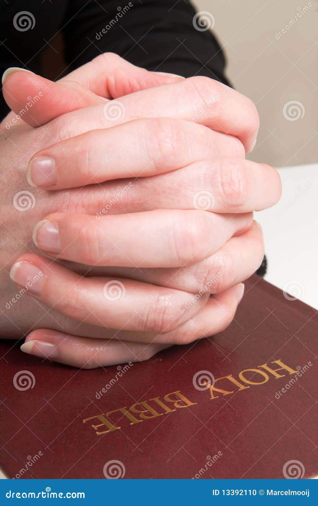 Praying Hands on Bible stock photo. Image of bible, text - 13392110